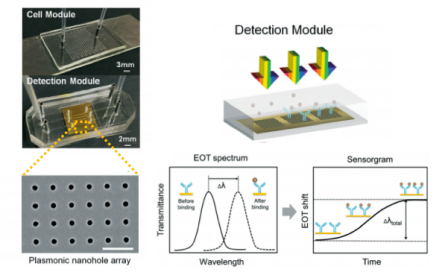 How can biosensors provide real-time health monitoring? - Biosensors ...